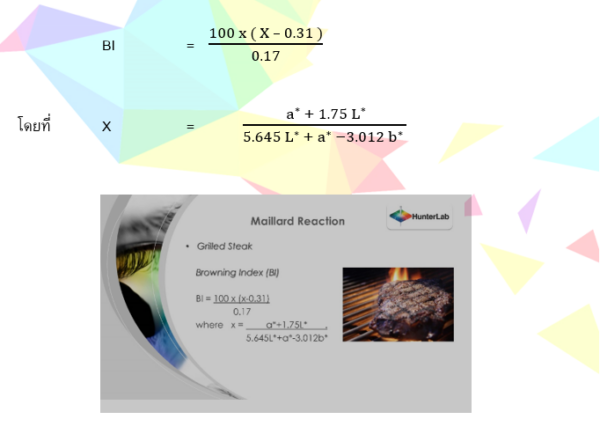 Foods proposal- 4.Maillard Reaction - Color Global Company